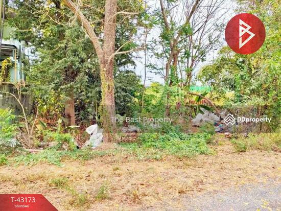 ที่ดินหนองเสือ ปทุมธานี, Pathum Thani, Bung Bon, Nong Sua, Pathum Thani, , , Land For Sale, by ...