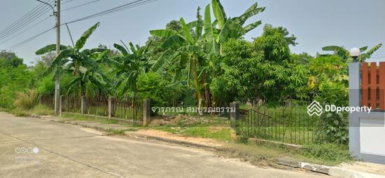 ที่ดินเปล่า เหมาะสำหรับปลูกบ้านพักอาศัย บรรยากาศร่มรื่น ใกล้วงแหวน 290 ...