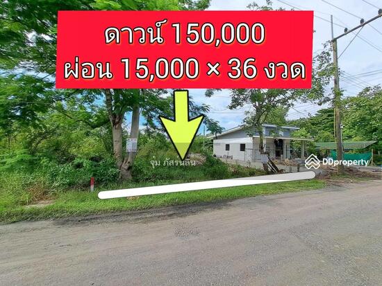ที่ดินรังสิต คลอง 12, Pathum Thani, Nong Sam Wang, Nong Sua, Pathum Thani, , , Land For Sale, by ...