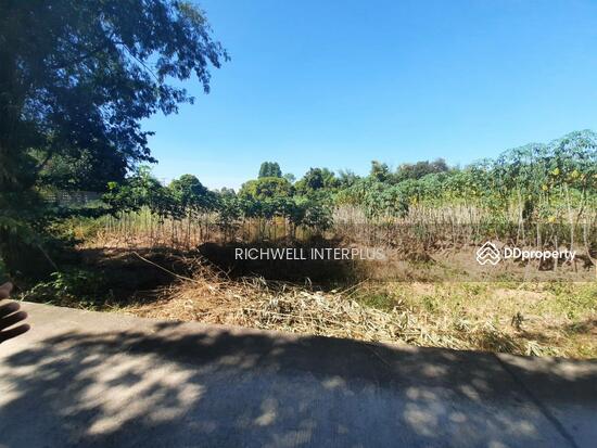 Land for sale, Tha Than, 1 rai, next to concrete road,, Chachoengsao, Tha Than, Phanom Sarakham ...