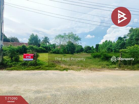 ที่ดินพนมสารคาม ฉะเชิงเทรา, Chachoengsao, Khao Hin Son, Phanom Sarakham, Chachoengsao, , , Land ...