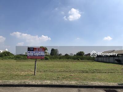 Baan Krisadanakon 25 : บ้านกฤษดานคร 25 ประกาศขายคอนโด | DDproperty