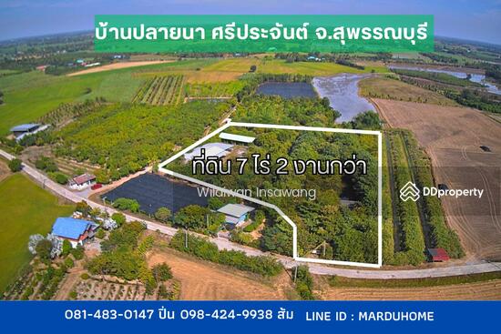 ที่ดิน พร้อมโรงงาน สวนป่า อำเภอศรีประจันต์, Suphan Buri, บางบัวทอง ...