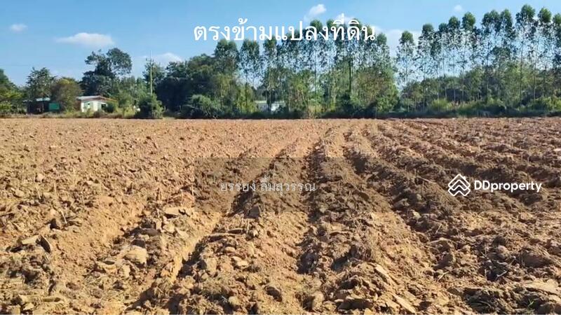 Land Wang Takhian, Kabin Buri, Prachin Buri, Prachin Buri, Wang Ta ...