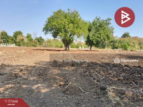 ที่ดินโนนสูง นครราชสีมา, Nakhon Ratchasima, Muang Pra Sat, Non Sung, Nakhon Ratchasima, , , Land ...