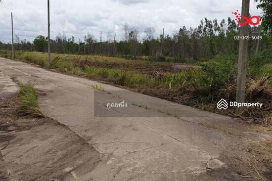 ขายที่ดิน 100 ตารางวา อำเภอหนองเสือ ปทุมธานี, Pathum Thani, Noparat, Nong Sua, Pathum Thani ...