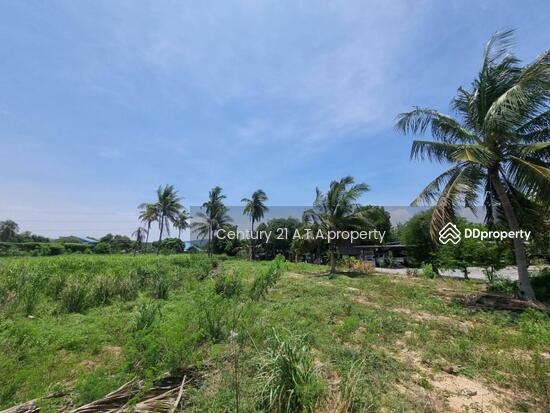 Land for sale, purple plan, Bo Yang, Sriracha, Chonburi., Chon Buri ...