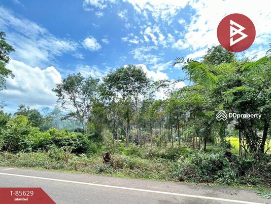 ที่ดินนางรอง บุรีรัมย์, Buri Ram, Nong Sano, Nang Rong, Buri Ram ...