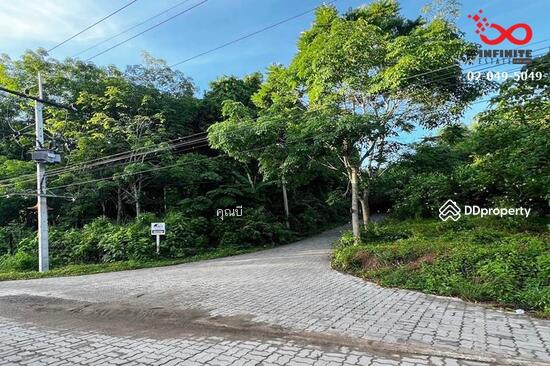 ตรัง, Trang, Kantrang, Kantrang, Trang, , , Land For Sale, by คุณบี, 11457589