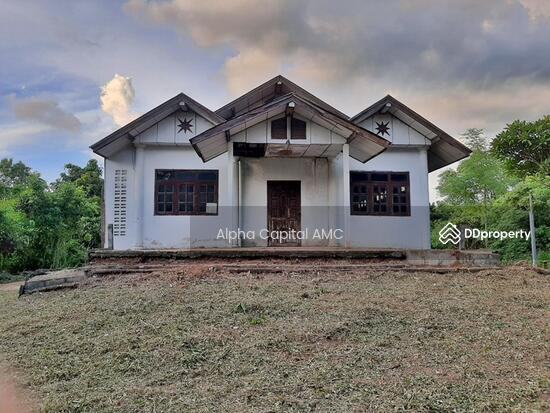 บ้านพักอาศัยตึกชั้นเดียว L4_8_0100_G01, Chaiyaphum, Phak Pang, Phu Khieo, Chaiyaphum, 2 Bedrooms ...