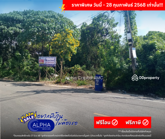 Sale Vacant Land Soi Sukhapibal 1 Sun Thon Non L4_5_0470_G01, Trang, ถนนสุนทรนนท์, Yan Ta Khao ...