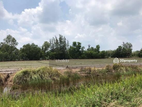 ขายที่ดินเปล่า เหมาะสร้างที่พักอาศัย ทำเกษตรพอเพียง คลังสินค้า ศูนย์กระจายสินค้าขนาดย่อม ฯลฯ ...