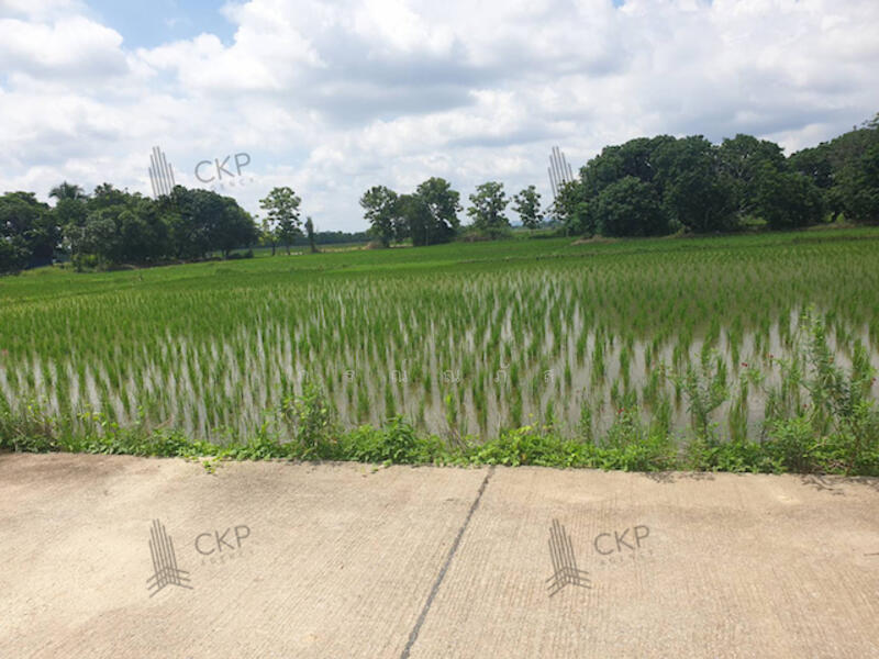 65555 - ขาย ที่ดินเปล่า ขนาด 1 ไร่ 294.5 ตร.วา ไม่ไกลจากถนนใหญ่ ต.แม่คำ ...