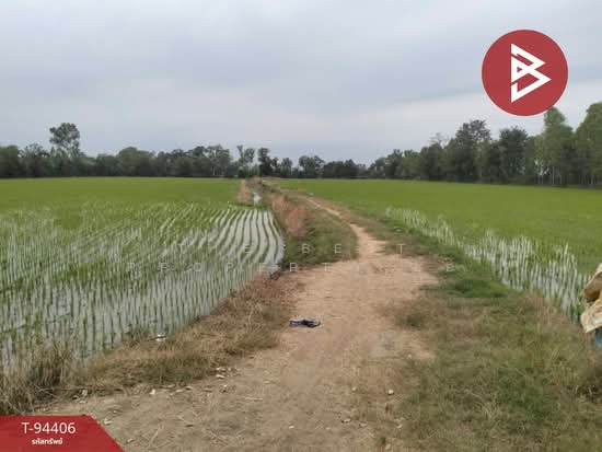 ที่ดินโพทะเล พิจิตร, Phichit, Pho Thale, Pho Thale, Phichit, , , Land ...