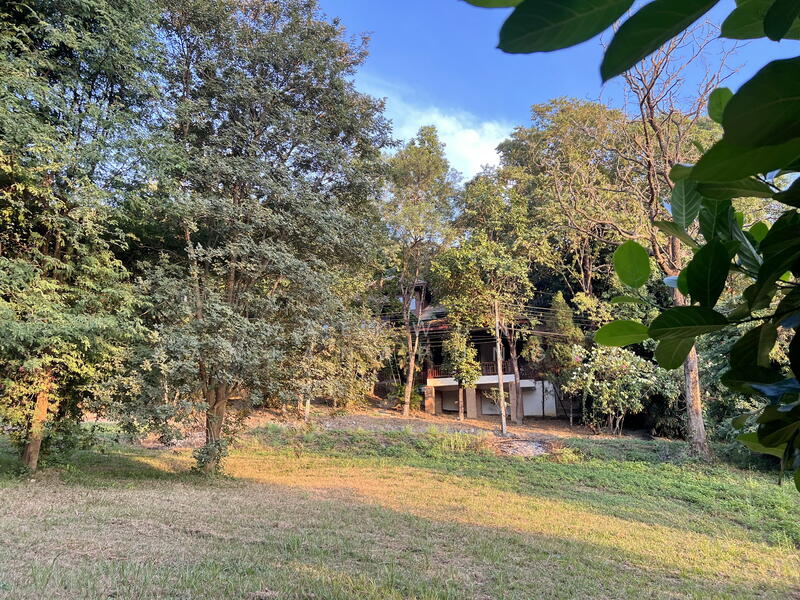 Wooden House for sale in Ropwiang, Chiangrai., Chiang Rai, Rob Wieng ...