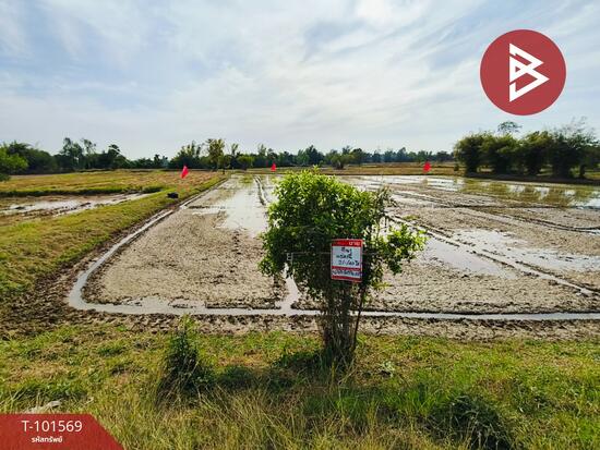 ที่ดินกันทรวิชัย มหาสารคาม, Maha Sarakham, Khan Than Rat, Kantharawichai, Maha Sarakham ...