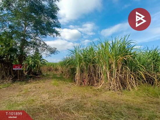 ที่ดินหนองไผ่ เพชรบูรณ์, Phetchabun, Huai Pong, Nong Phai, Phetchabun, , , Land For Sale, by ...