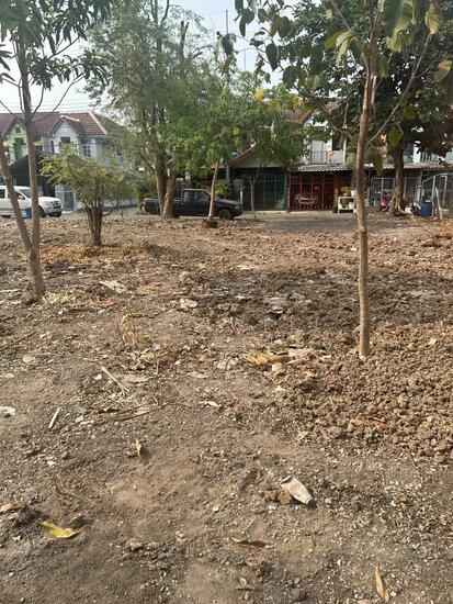 Land for sale in Hathai Rat, Lam Luk Ka, 1 rai, Soi Wongkorn 1, near Wongkorn Market - 1.6 km ...