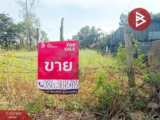 ที่ดินหนองเสือ ปทุมธานี, Pathum Thani, Nong Sam Wang, Nong Sua, Pathum Thani, , , Land For Sale ...