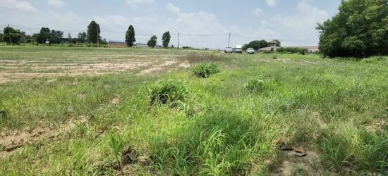 Vacant land, Map Yang Phon, Plaeng Daeng, Rayong, Rayong, Mapyangphon ...