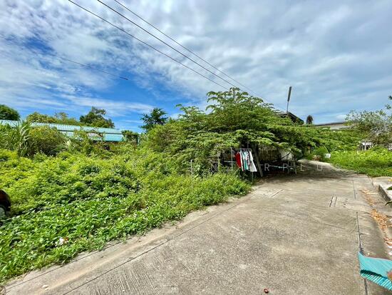 Land for sale on a hillside, area 107 sq.w., Soi Sukjai, next to a ...