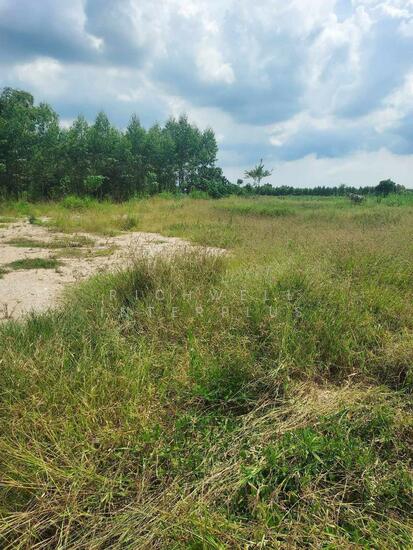 Land for sale on Koh Chang, area 200 sq.w., near road 331-9 km., near ...