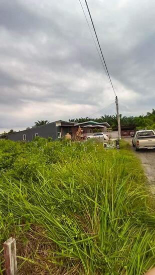 Land for sale on Koh Chan, 200 sq m, 200 meters from asphalt road,, Chon Buri, Ko Chun, Ko Chan ...