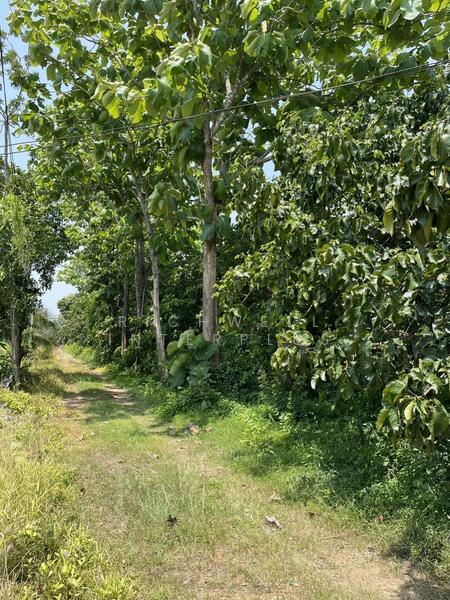 ขายที่ดินหนองเหียง 28 ไร่ ใกล้ถนนเส้น3086-1.3กม. ใกล้แยกเนินหินถนน331-5กม., ชลบุรี, หนองเหียง ...