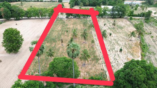 Land for sale in Pong, Pattaya, area 3 rai, near the Pong Motorway ...