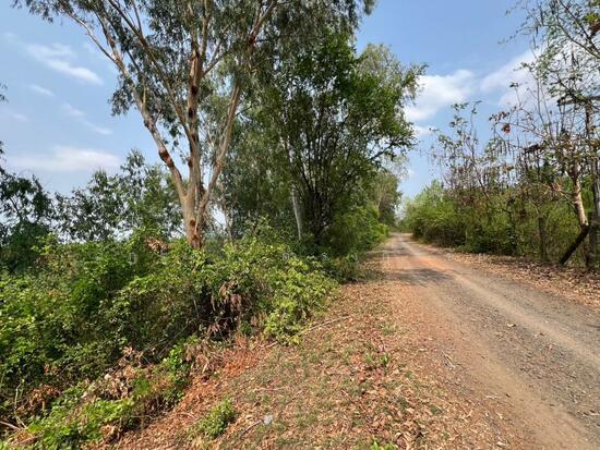 31150, Buri Ram, , Satuk, Satuk, Buri Ram, , , Land For Sale, by ฉัฏฐภา ...