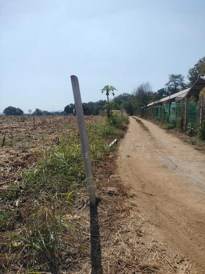 Land for sale, red Garuda title deed, Khao Yai, Pak Chong, Khanong Phra ...