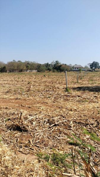 Land for sale, red Garuda title deed, Khao Yai, Pak Chong, Khanong Phra ...