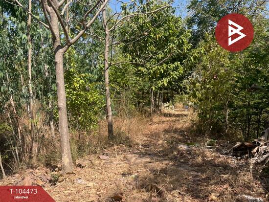 ที่ดินกระสัง บุรีรัมย์, Buri Ram, Kra Sang, Muang Buri Ram, Buri Ram, , , Land For Sale, by ยุ ...
