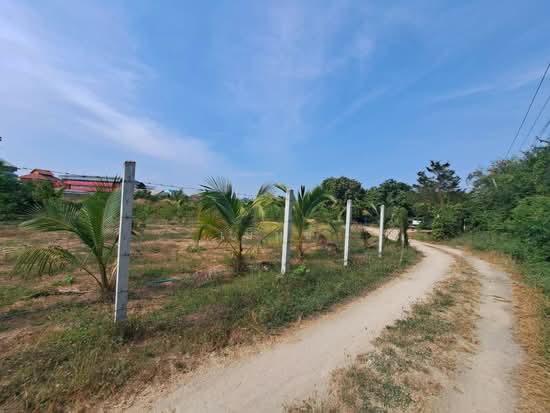 ที่ดินบ้านกล้วย ชัยนาท, Chai Nat, Ban Kluai, Muang Chai Nat, Chai Nat ...