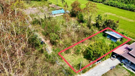 หนองเสือ ปทุมธานี, Pathum Thani, Bung Bon, Nong Sua, Pathum Thani, , , Land For Sale, by แนน ...