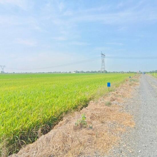คลองแปด บึงบอน หนองเสือ ปทุมธานี, Pathum Thani, Bung Bon, Nong Sua, Pathum Thani, , , Land For ...