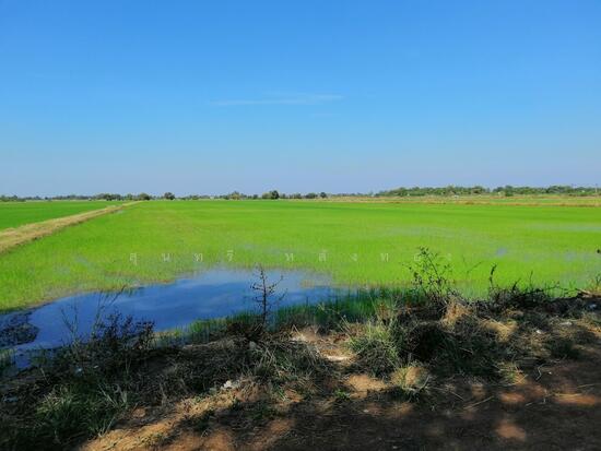 Cheap land for sale! 50 Rai near Railway Junction Station, Bang Nam ...