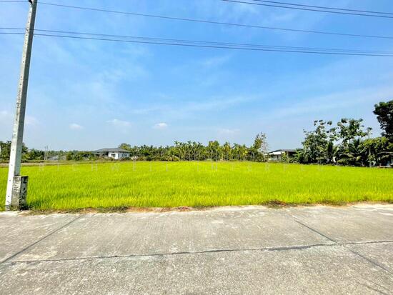 Land for sale, Takhan, Ban Kai, 2 rai, next to concrete road, near road ...