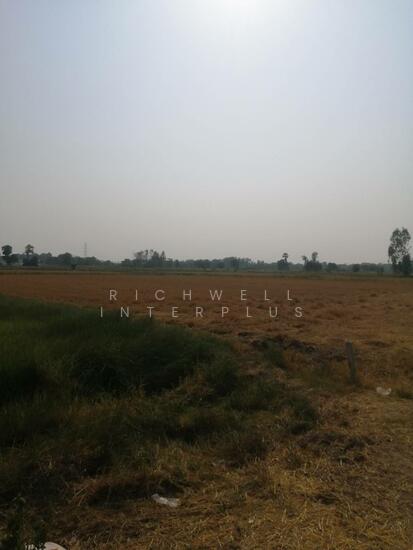 Land for sale, Pak Tok, area 15 rai, near Phitsanulok Stadium - 5 km.,, Phitsanulok, Bak Thok ...