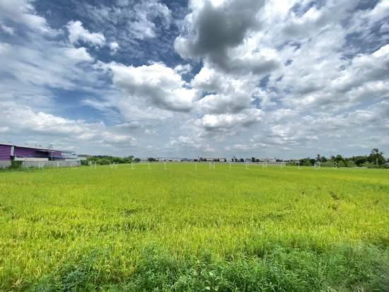 Land for sale at the end of the island, Sam Khok, next to a concrete ...