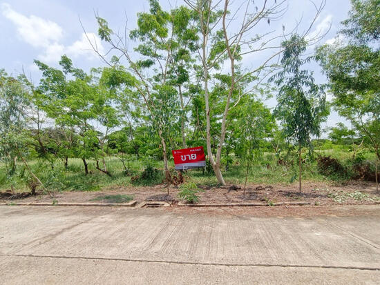 โครงการไอซ์แลนด์พาร์ค, Bangkok, Krathum Rai, Nong Chok, Bangkok, , , Land For Sale, by The Best ...