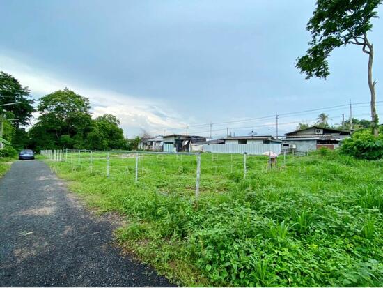 Land for Sale in Sriracha – 60-Meter Frontage, Red Zone Area!! Near Kao ...