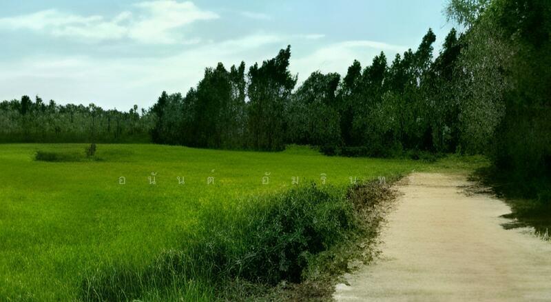 Land for sale 6 rai, Si Maha Phot District, Prachinburi Province, near ...