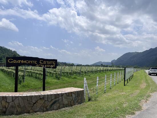 Pirom @ Vineyard Khao Yai : ภิรมย์ @ วินยาร์ด เขาใหญ่, นครราชสีมา, 234 ...