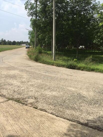 Land for sale with rubber plantation, 5 rai, on 3 sides of the road ...