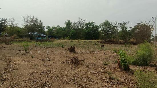 บ้านสวนคลองสิบ, Pathum Thani, คลองสิบ, Bung Ba, Nong Sua, Pathum Thani, , , Land For Sale, by กฤ ...