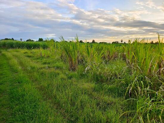ขายที่ดินเปล่า เนื้อที่ 5-3-46 ไร่ ใกล้มอเตอร์เวย์ M81 อ.ท่าม่วง จ. ...