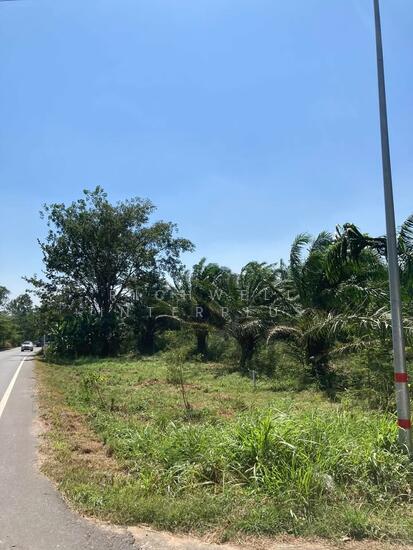 Land for sale in Hang Sung, 18 rai, adjacent to two roads, Hang Sung, Chon Buri, Hang Sung, Nong ...